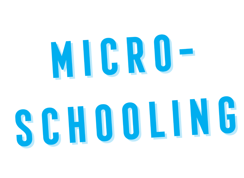 Microschooling - Love Your School Arizona